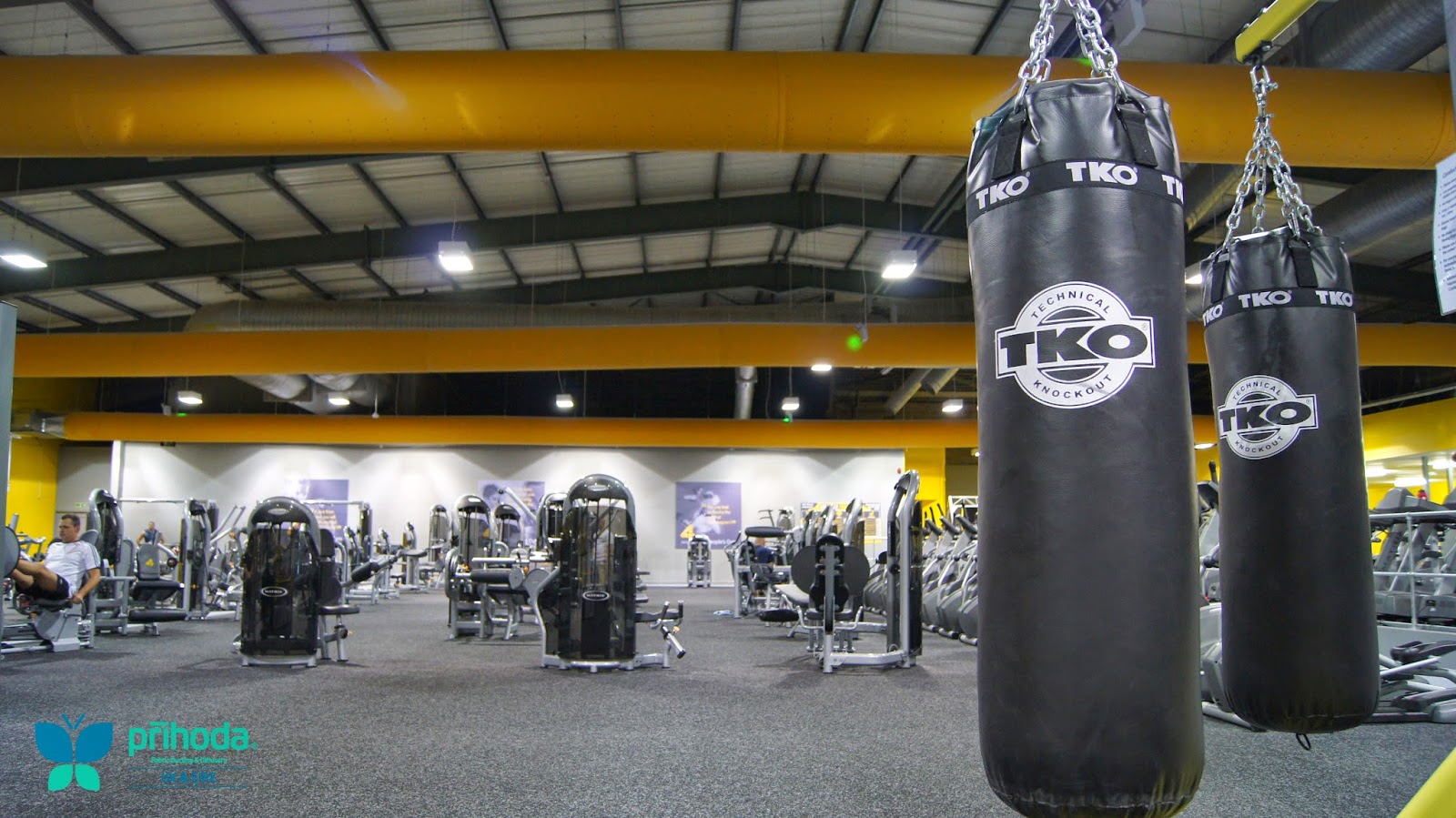 Product Review: Xercise4less, Gym - Prihoda